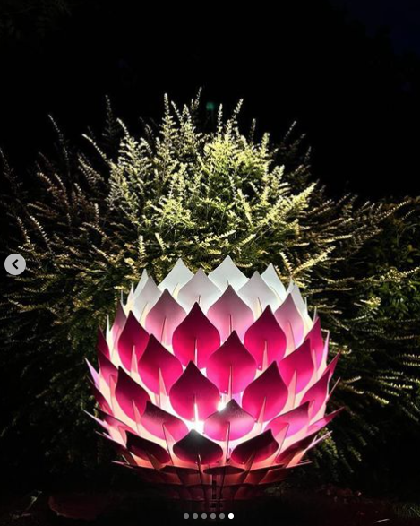 Protea Metal Uplighter - Lumiere